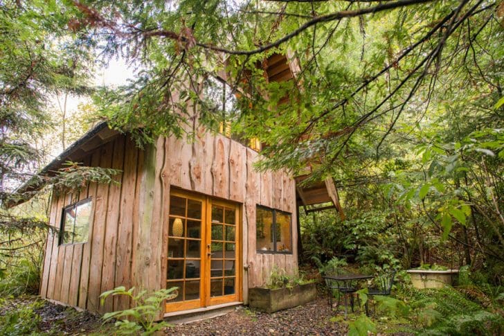 Japanese Forest House - A Small Cabin Made Almost Exclusively from ...