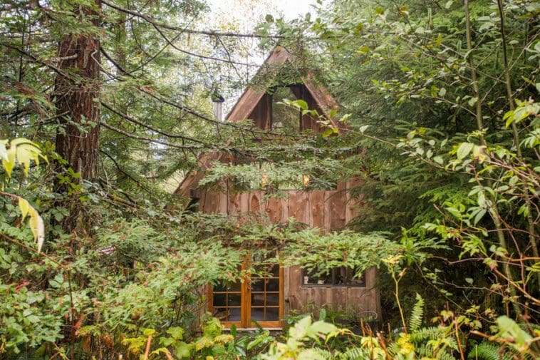 Japense Forest House - Made Almost Exclusively from Salvaged Materials