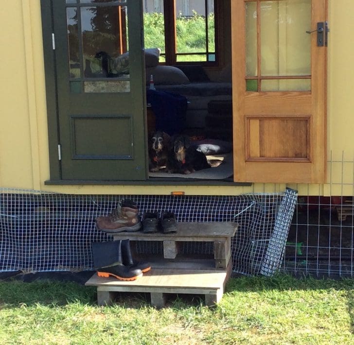 The Mustard Yellow House - Teeny Abode - Living Big In A Tiny House