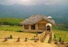 6 Must See Bahay Kubo Designs and Ideas - Native Houses In The ...