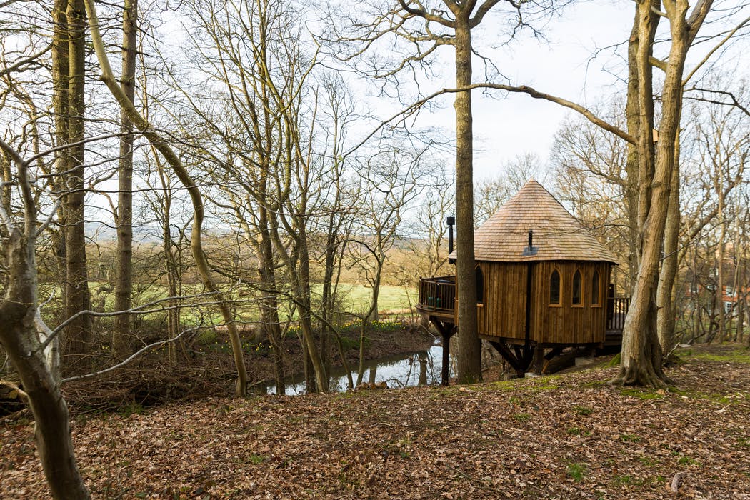 Hoots Treehouse Is Secluded And Picture-Perfect Nestling In An Area Of ...