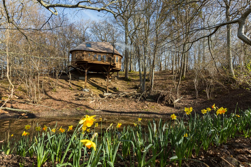 Hoots Treehouse Is Secluded And Picture-Perfect Nestling In An Area Of ...